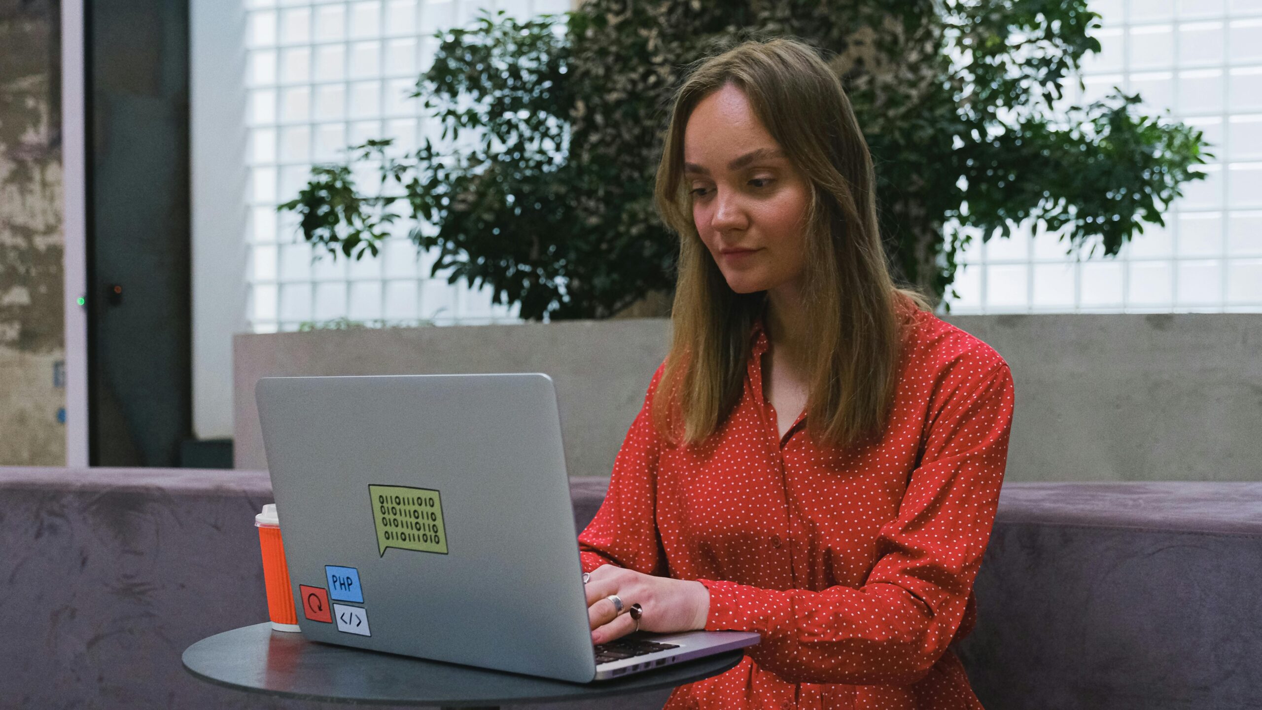 What Is a Requirements Attribute Schema? | The Requirements Engineer